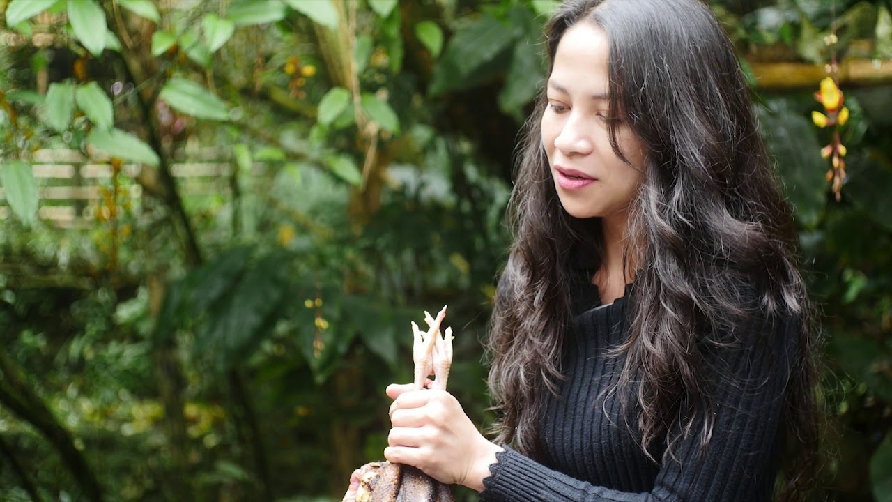 Pinikpikan Cordillera Traditional Cuisine Demonstration with Luisa ...