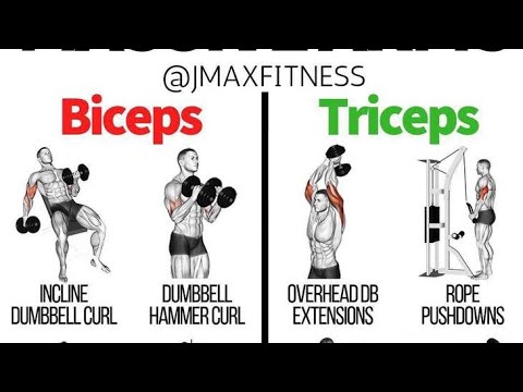 Complete Arm Strengthening Course | Biceps & Triceps Workout for ...