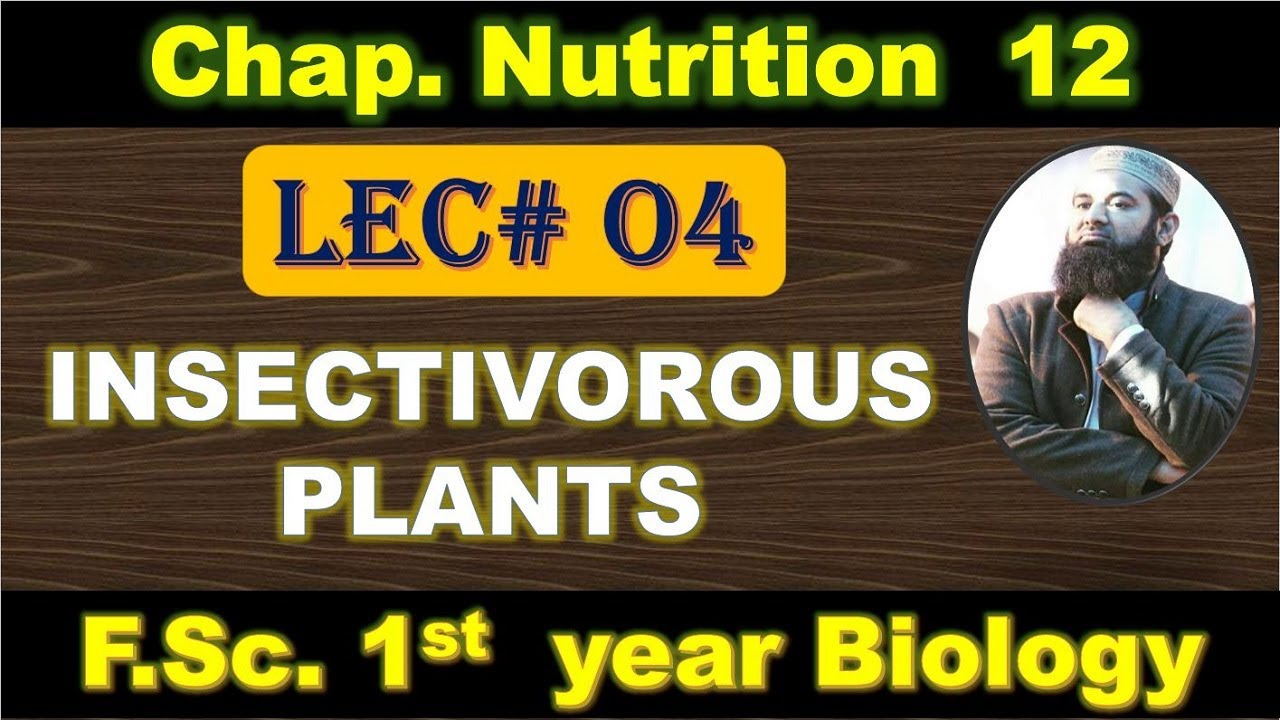 Insectivorous Nutrition in plants I Chapter 12 I Nutrition I class 11 I ...