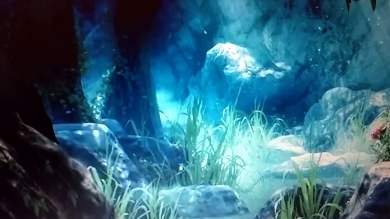 Moonlight Garden - YouTube