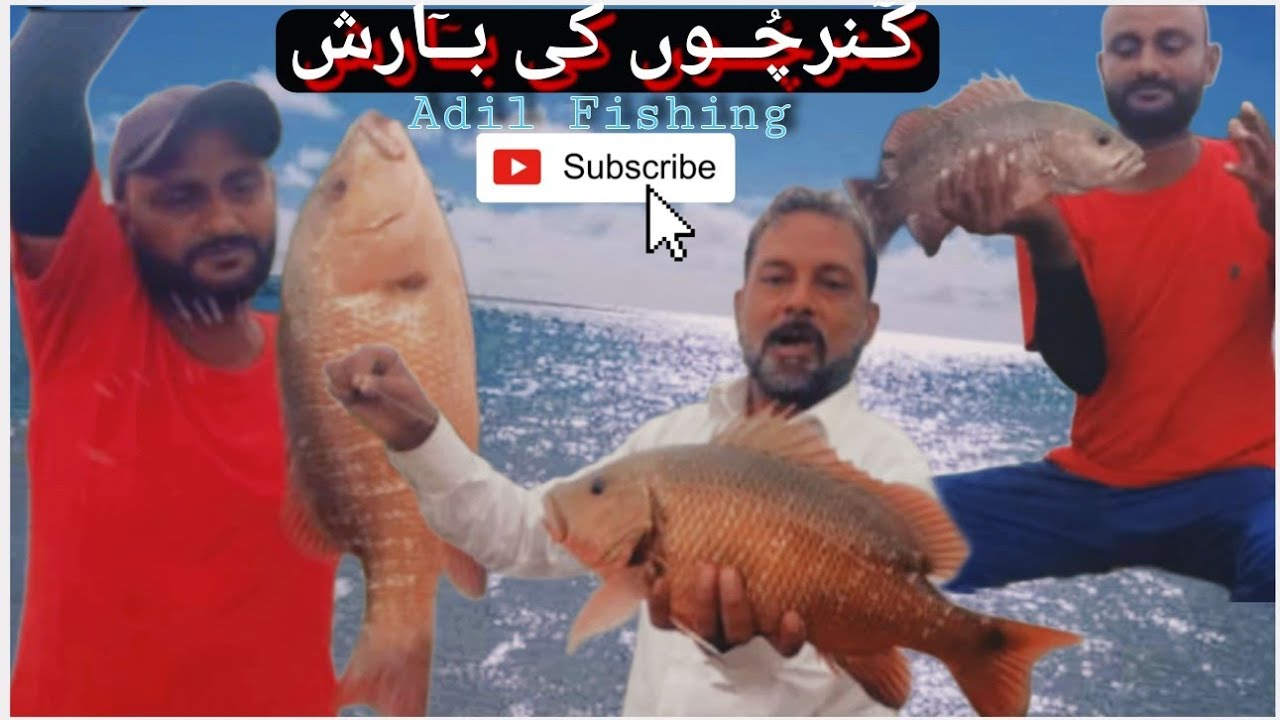 Rehri Goth Sukro Creek Best| Fishing Point Mangroves Fishing| Karachi Fishing 2024 - YouTube