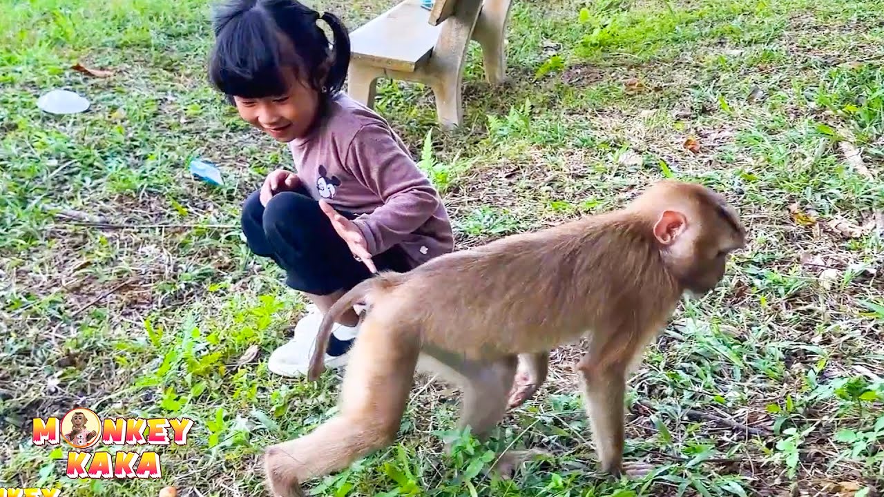 Monkey Kaka looks so happy and joyful with her father - YouTube