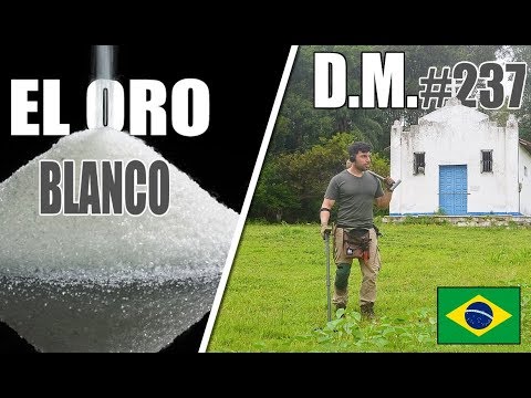 Buscando el TESORO de los ESCLAVOS DEL ORO BLANCO en Brasil - Detección Metálica 237