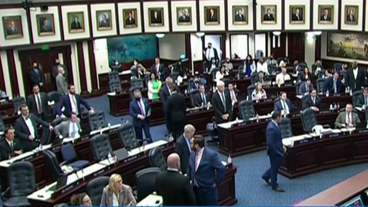 The Weekly: Breaking down Florida's legislative session - YouTube