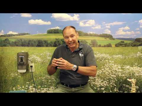 Facts & FAQs, with Dr. Hutter | Disc Injuries - YouTube