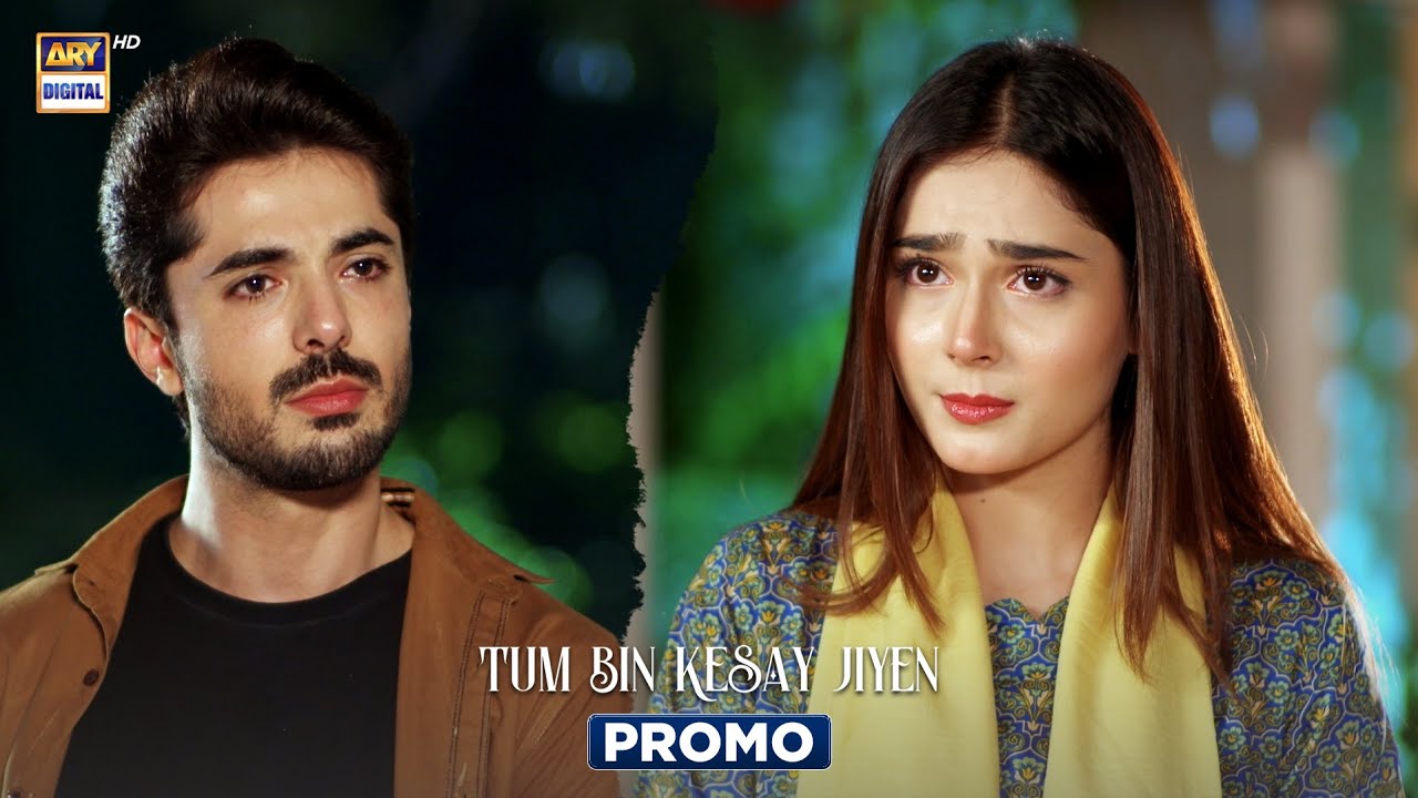 Tum Bin Kesay Jiyen | Promo | Upcoming Episode 37 | ARY Digital - YouTube