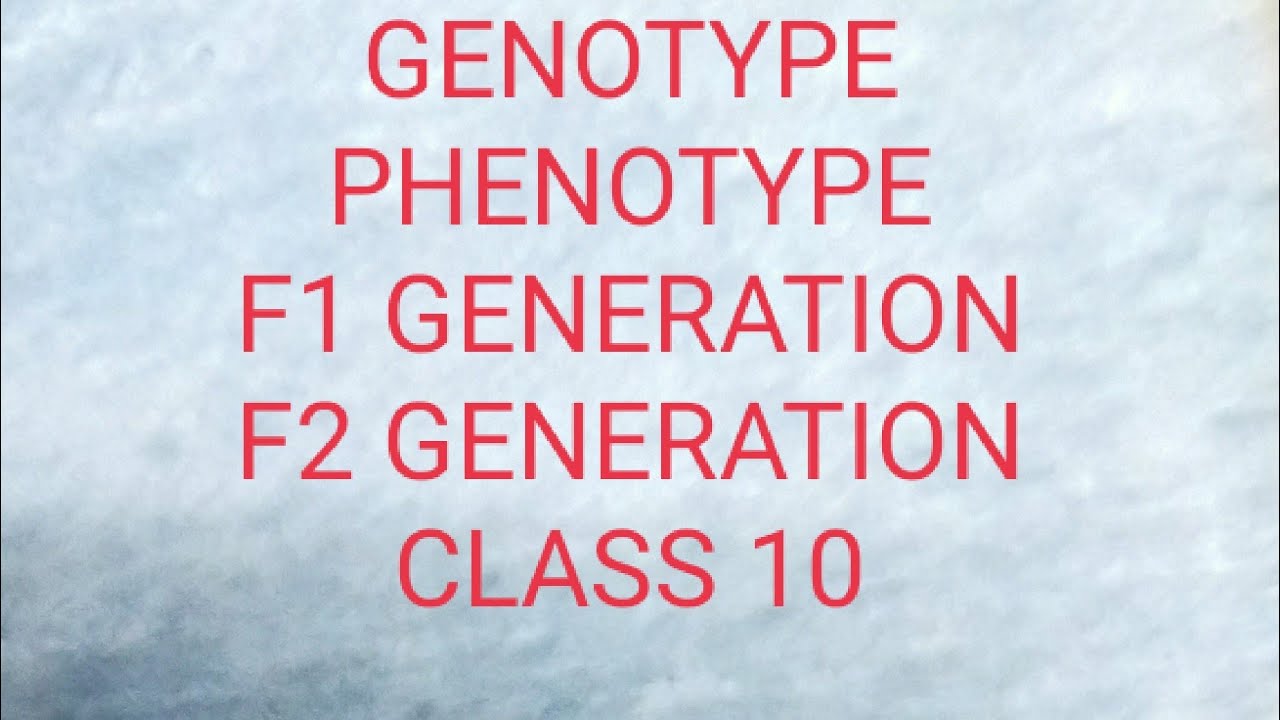 SCIENCE CLASS 10 HEREDITY GENOTYPE PHENOTYPE F1 GENERATION F2 ...
