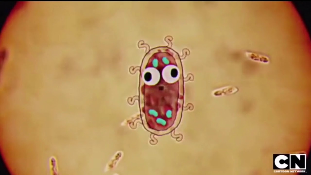 The Amazing World Of Gumball “Rise Of The Bacteria” Song (Original/New ...