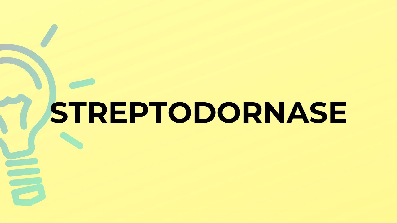 What is the meaning of the word STREPTODORNASE? - YouTube