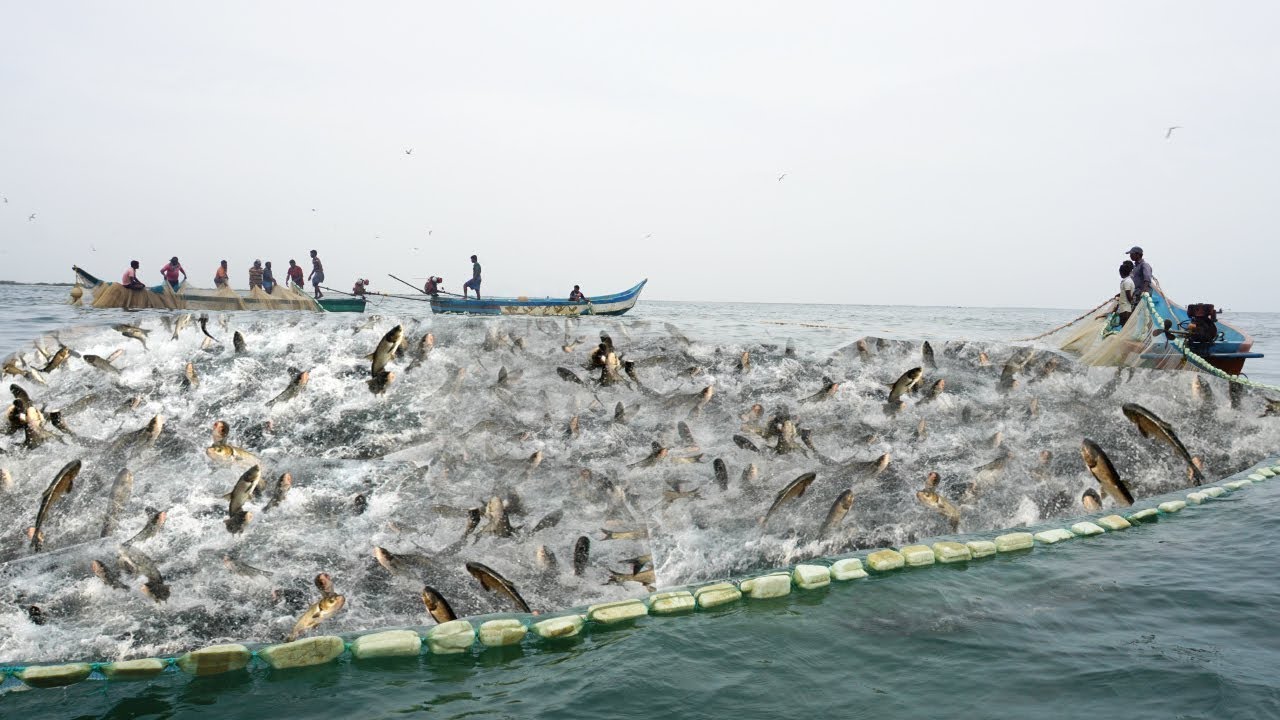 Unexpected GIANT CATCH Deep Sea Fishing | SEA FISHING | @FISH_TV - YouTube