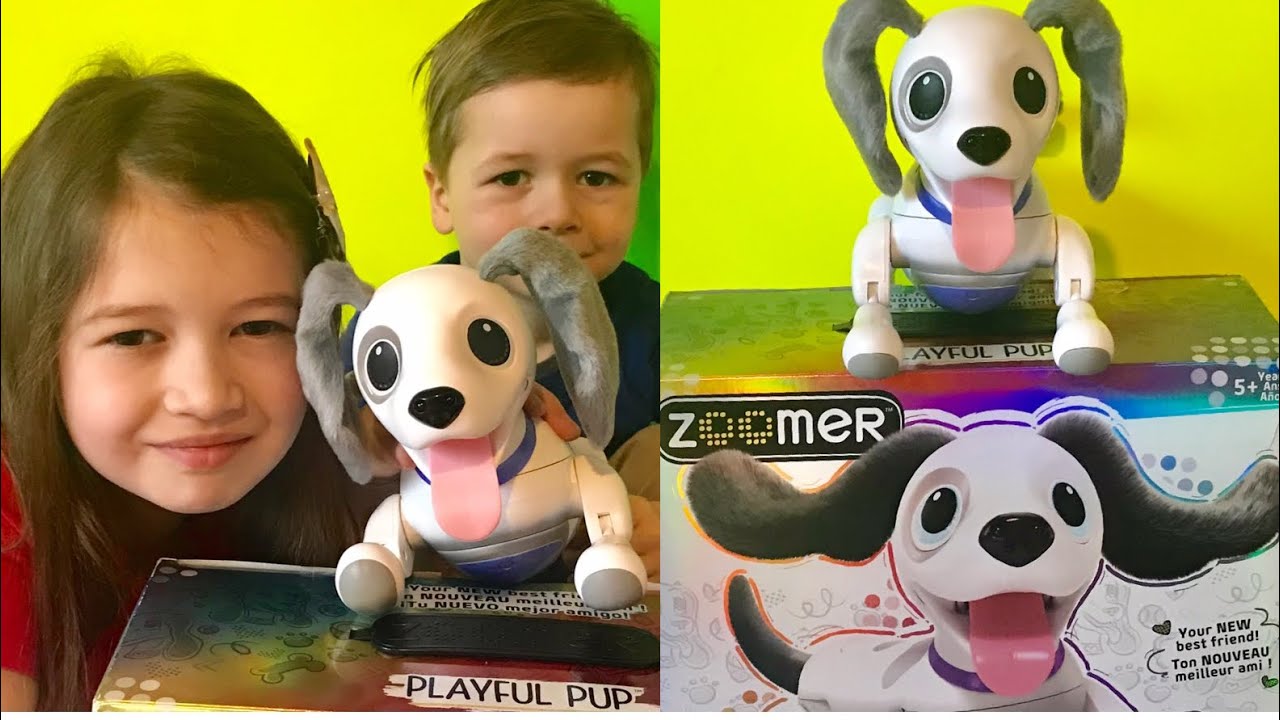 NEW TOY ZOOMER PLAYFUL PUP YOUR NEW BEST FRIEND| REALLY COOL POPPY TO ...