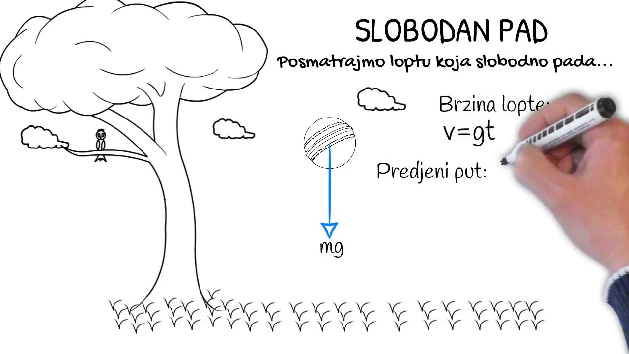 Minuta fizike: Slobodan pad - YouTube