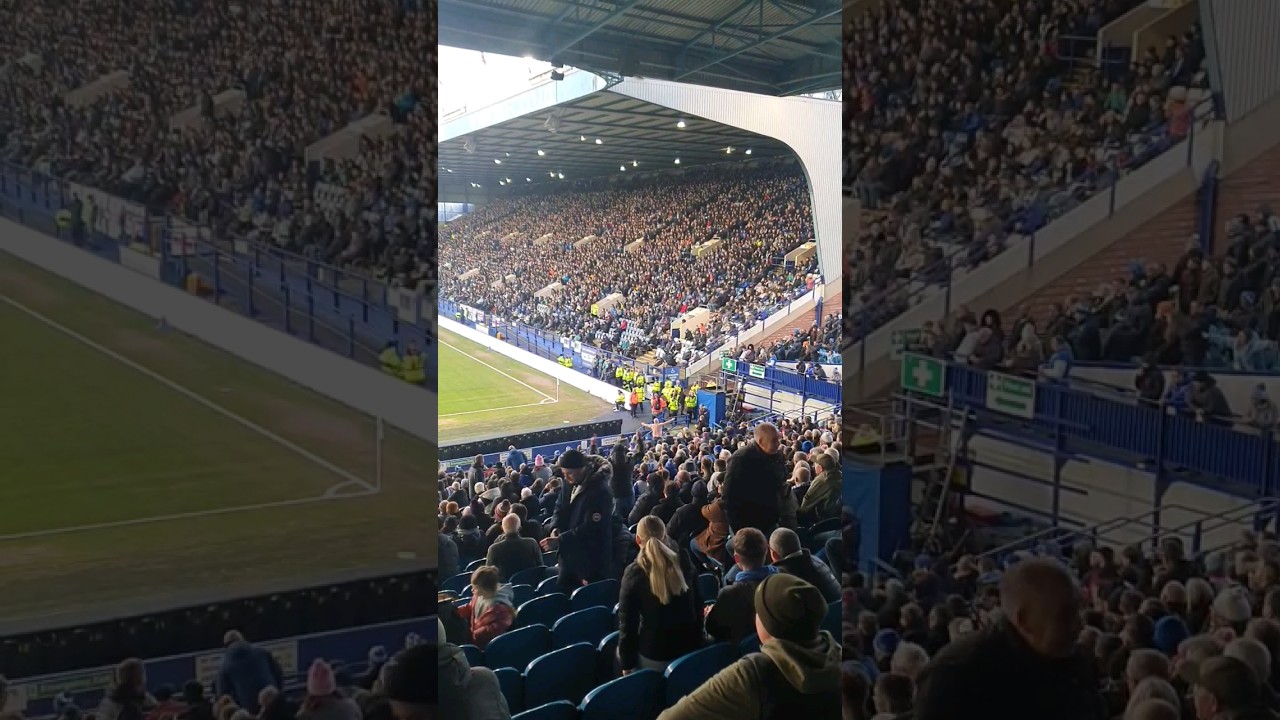 We Love You Tango 🦉💙 #swfc #sheffieldwednesday #wawaw #efl - YouTube