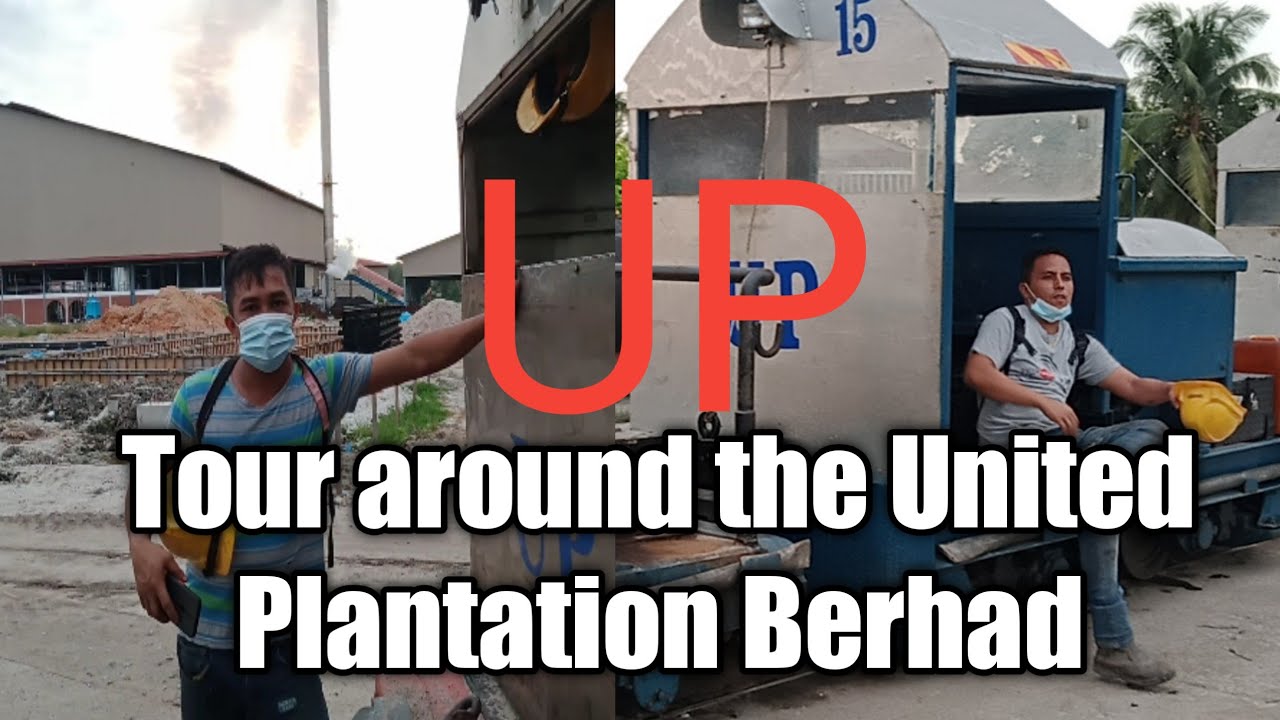 #Buhay ofw Tour around the (UP) United Plantation Berhad - YouTube