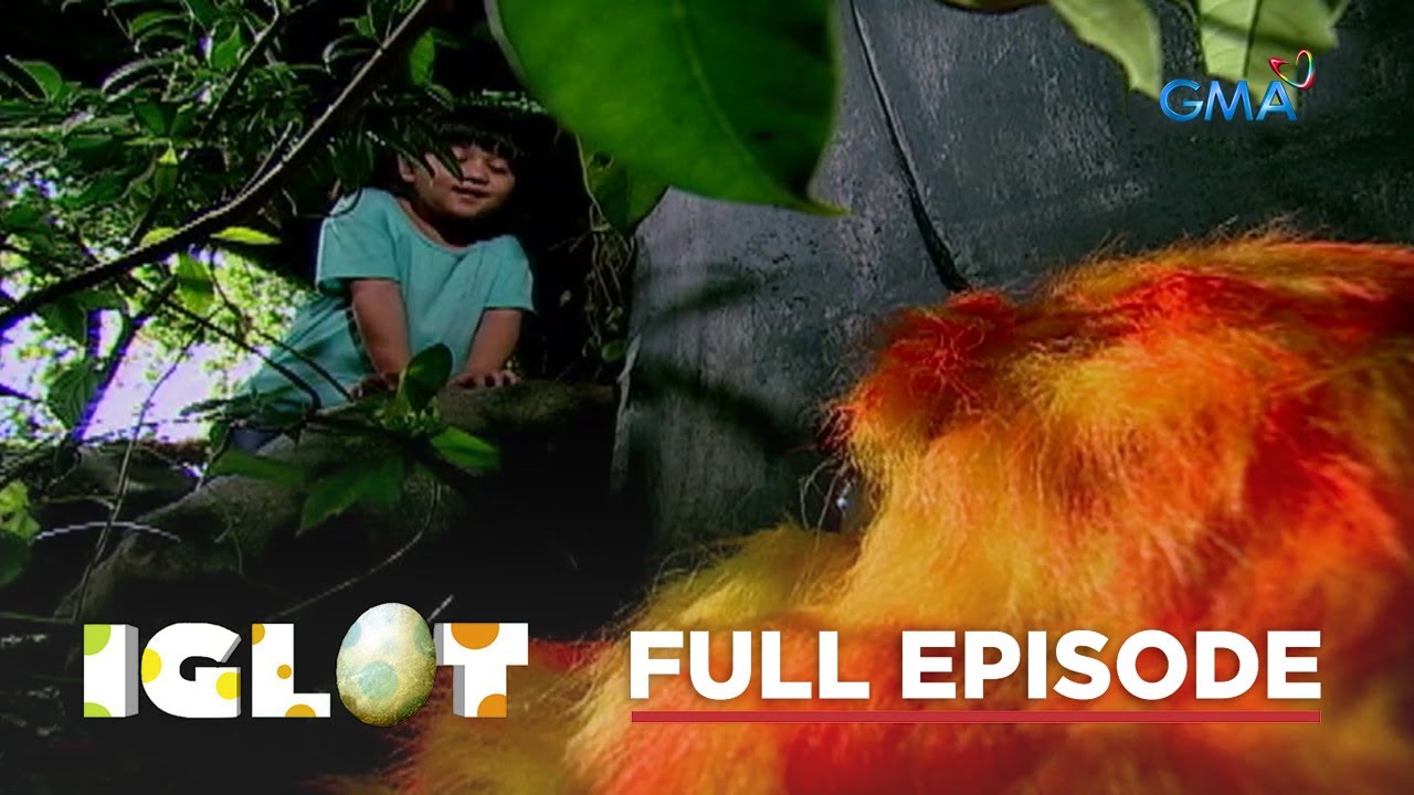 Iglot: Full Episode 7 (Stream Together) - YouTube