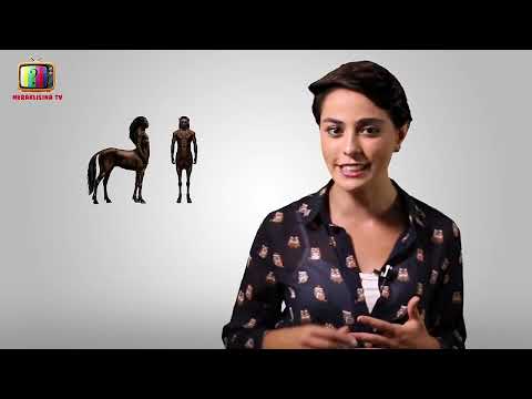 Melez ırklar mümkün mü. İnsan ile Hayvanın Birleşiminden Canlı Doğar mı