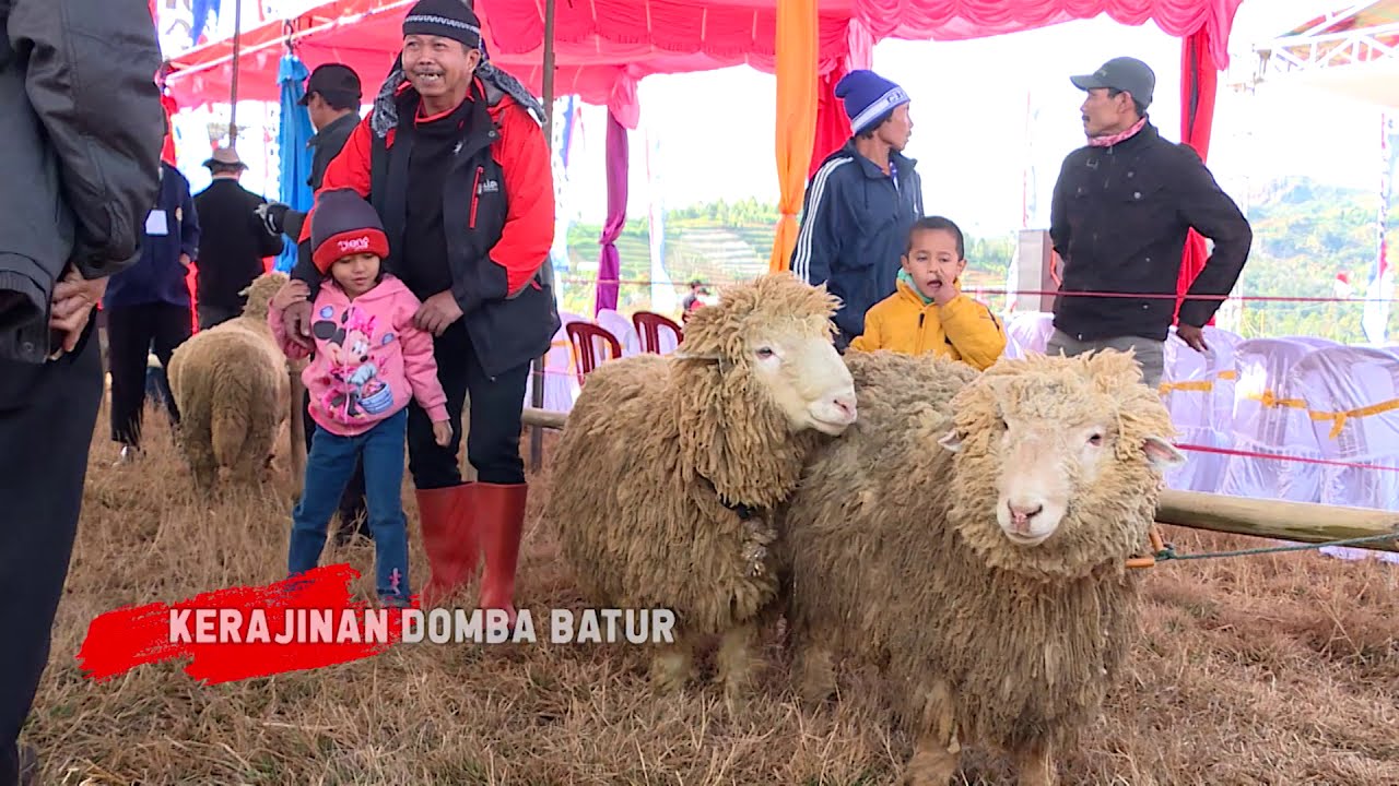 Kerajinan Tangan Bulu Domba Batur Khas Dieng | RAGAM INDONESIA - YouTube