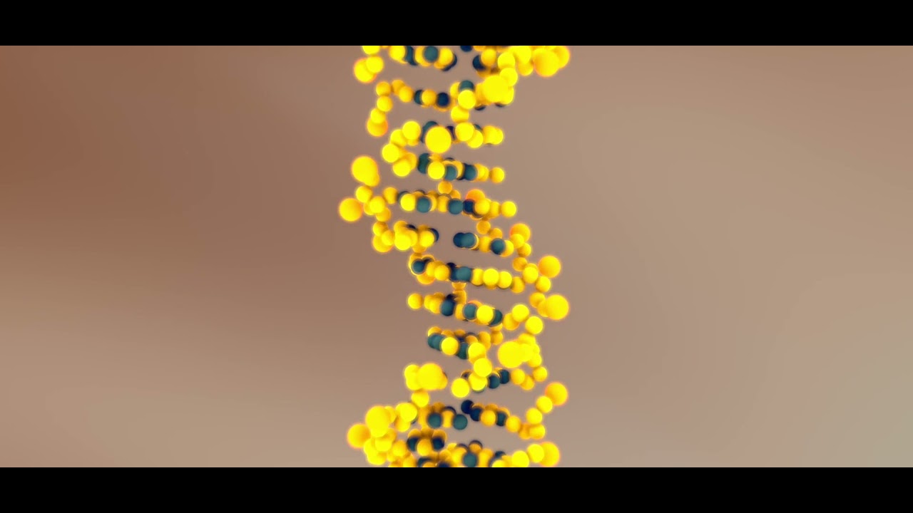 ADN Animation | Free Public Domain Video Download - YouTube