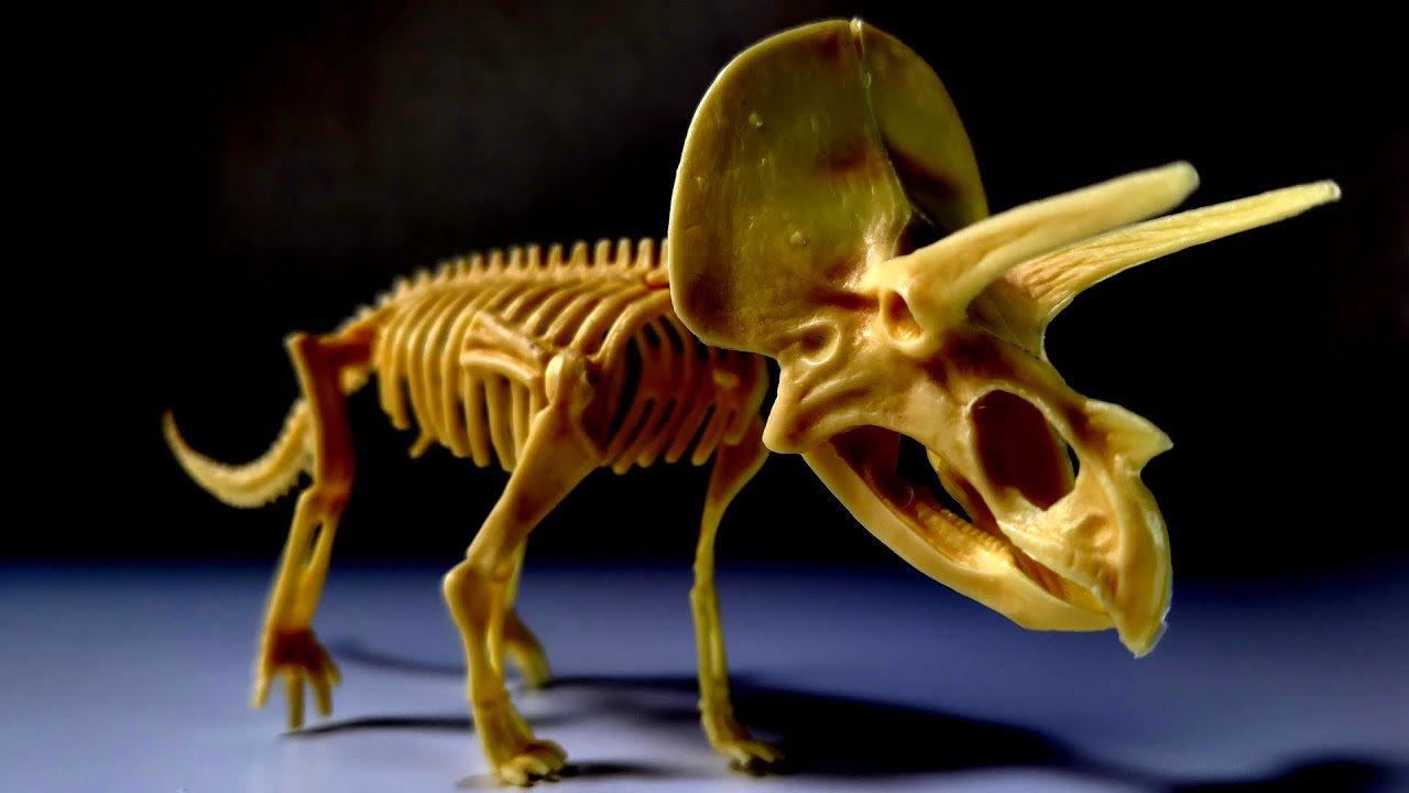 【Triceratops】Great discovery dinosaur fossil collection B type - YouTube