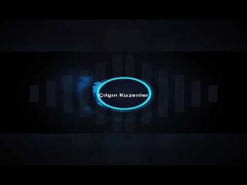 Shadow Fight 2 Herşey Sınırsız ...Nasıl Yapılır...