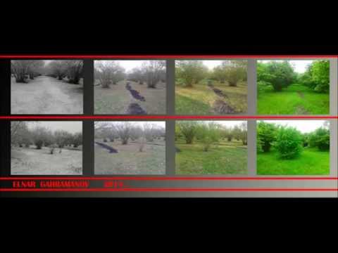 4 fesil- 4 Mevsim - 4 seasons-4 сезона
