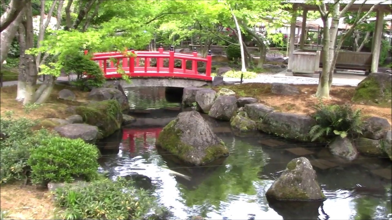 Japanese Shade Garden “Yutoku Shrine” Lee Lee Plants Japan - YouTube
