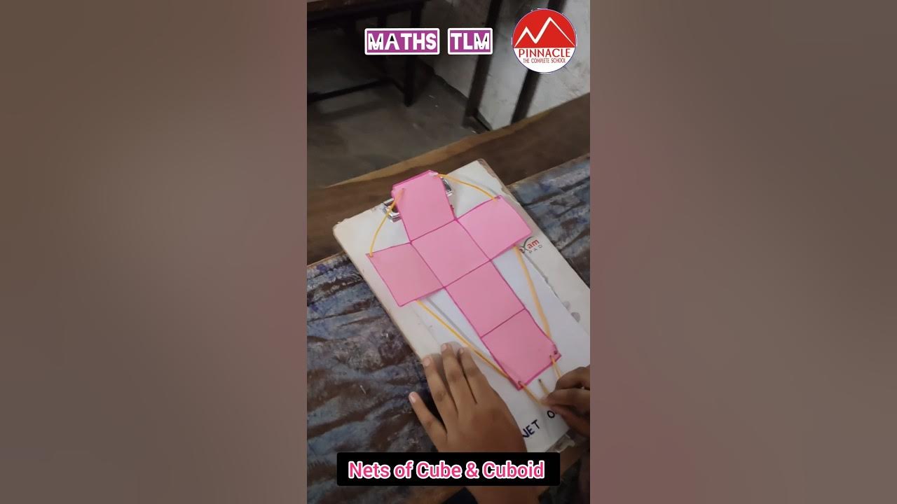 Nets of Cube & Cuboid || 8th Class Maths Visualising 3D in 2D shapes #PINNACLE - YouTube
