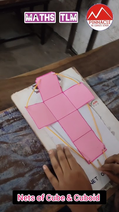 Nets of Cube & Cuboid || 8th Class Maths Visualising 3D in 2D shapes #PINNACLE - YouTube