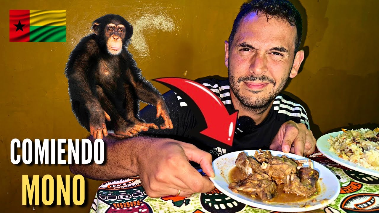 EN ESTE PAIS COMEN MONO 🐵 | ASI ES LA COMIDA en GUINEA BISAÚ 🇬🇼 | La ...