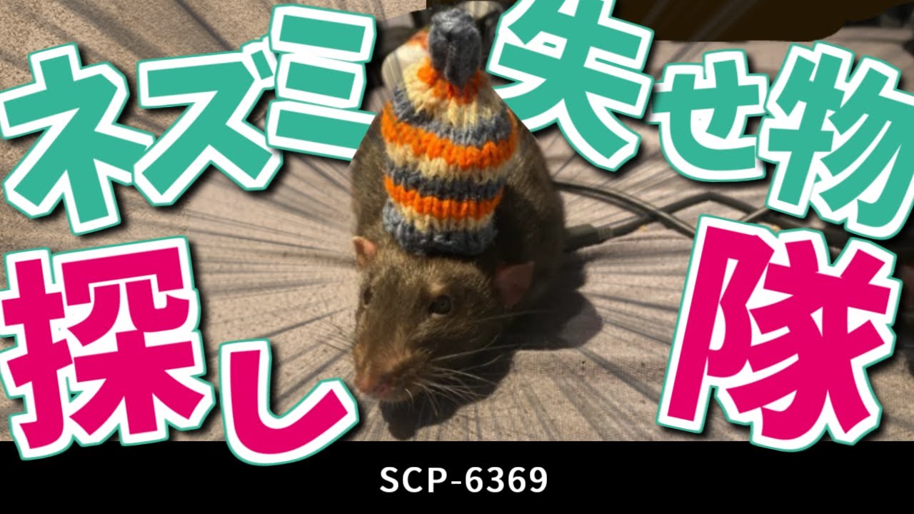 【ゆっくりSCP解説】お探し物はなんですか？癒し系SCP「ネズミ失せ物探し隊」を紹介【SCP-6369】 - YouTube