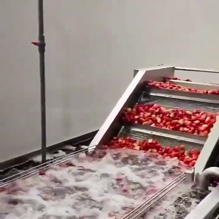 Strawberry washing line - YouTube