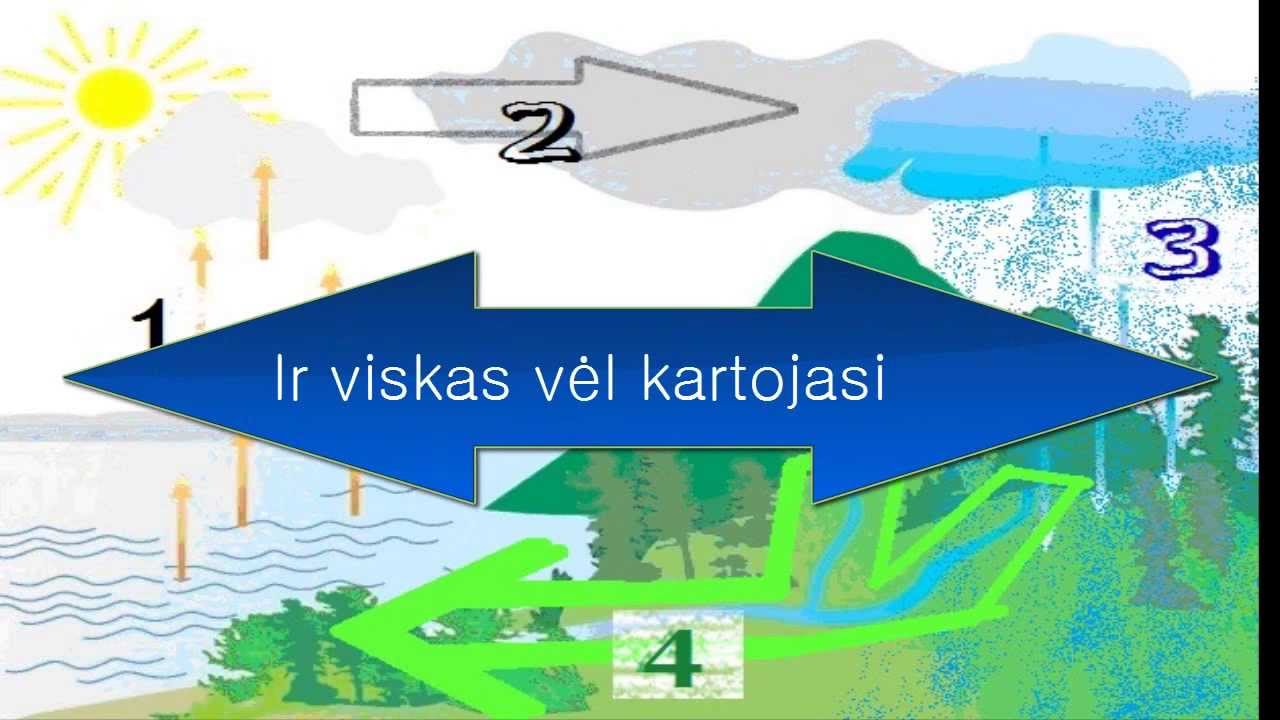 Vandens Apytakos Ratas {720p} - YouTube