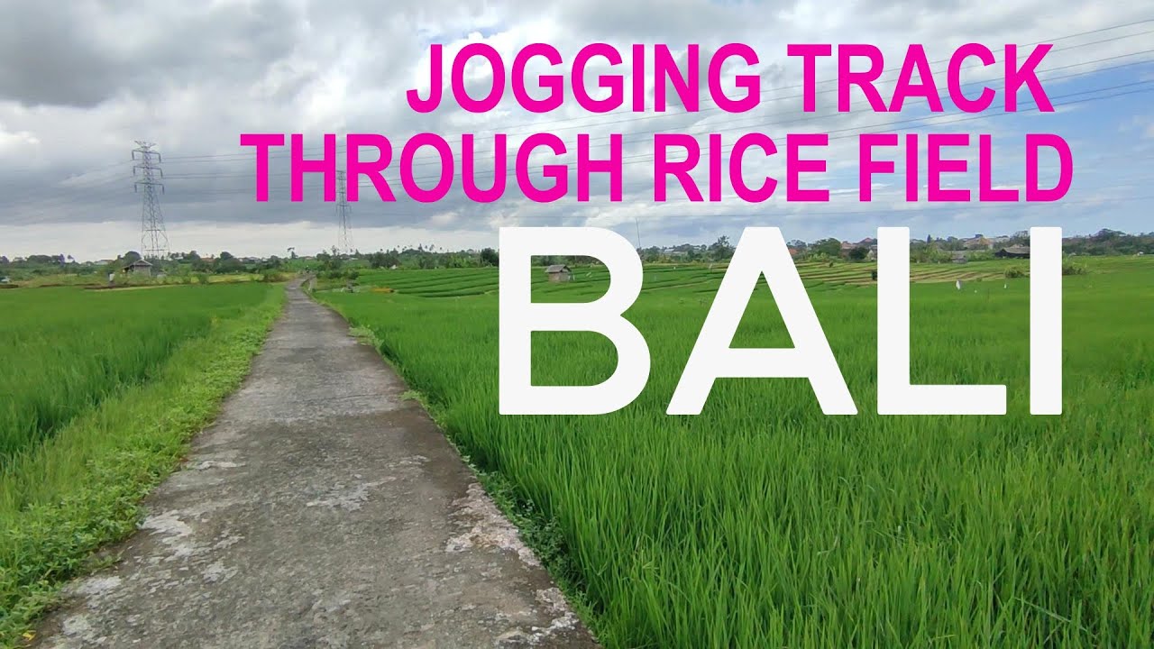 Bali Virtual Walking Tour , Jogging Track Through Rice Field. / Jalan ...