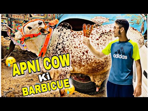 AJ HUMNA KI APNA COW KI B.B.Q PARTY 🍗😋|LAKIN AGG BAHARK GAYE # ...