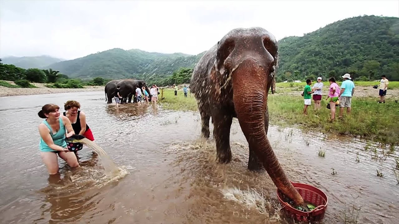 Familiereis | Sawadee Reizen - YouTube