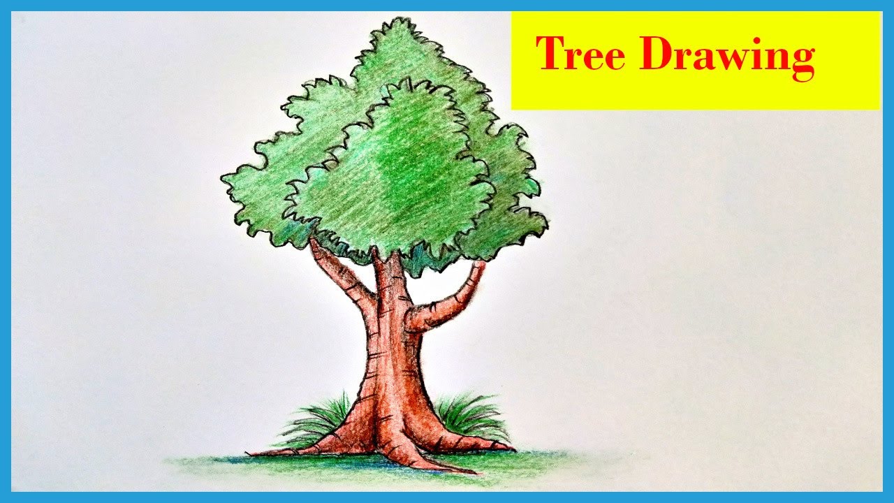how to draw tree for kids step by step very easy| easy tree drawing for ...