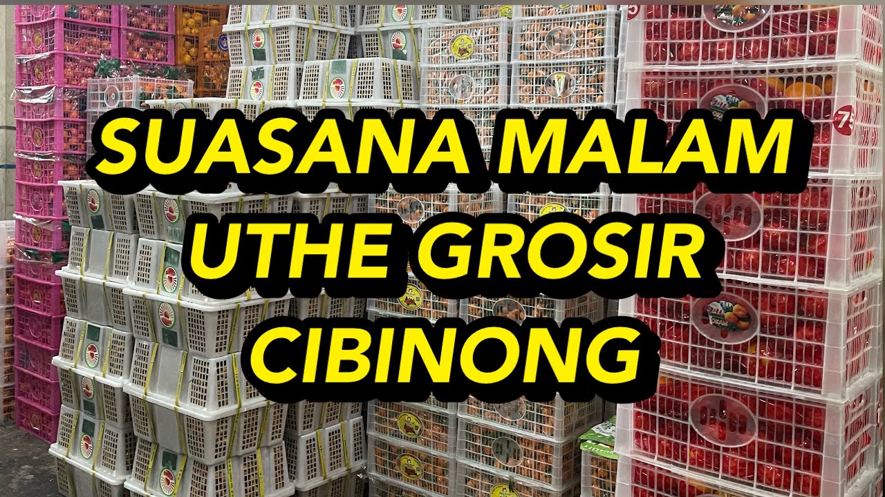 UTHE GROSIR CIBINONG SUASANA MALAM - YouTube