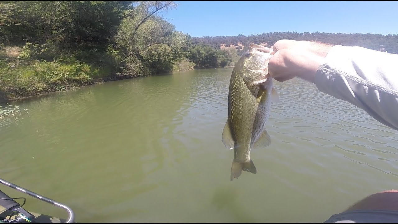 Kayak Bass Fishing Lake Chabot - 7/5/2019 - YouTube
