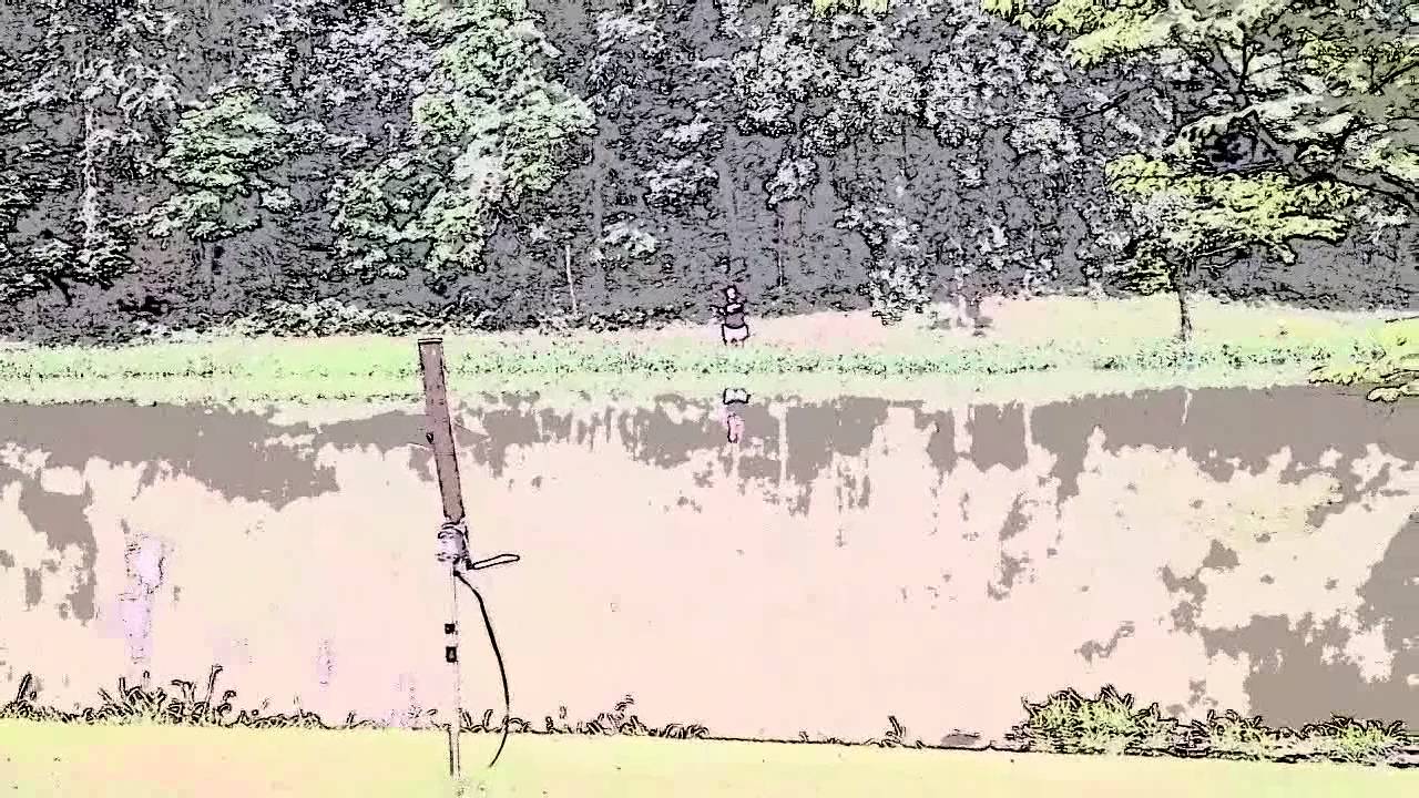 Samsung Android Tablet, Video Editor APP, Cartoon Effect - YouTube