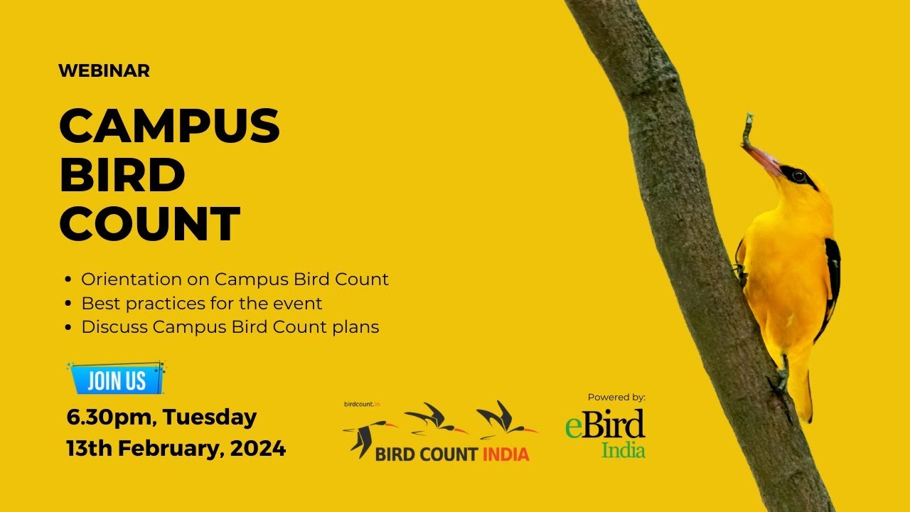 Campus Bird Count - YouTube