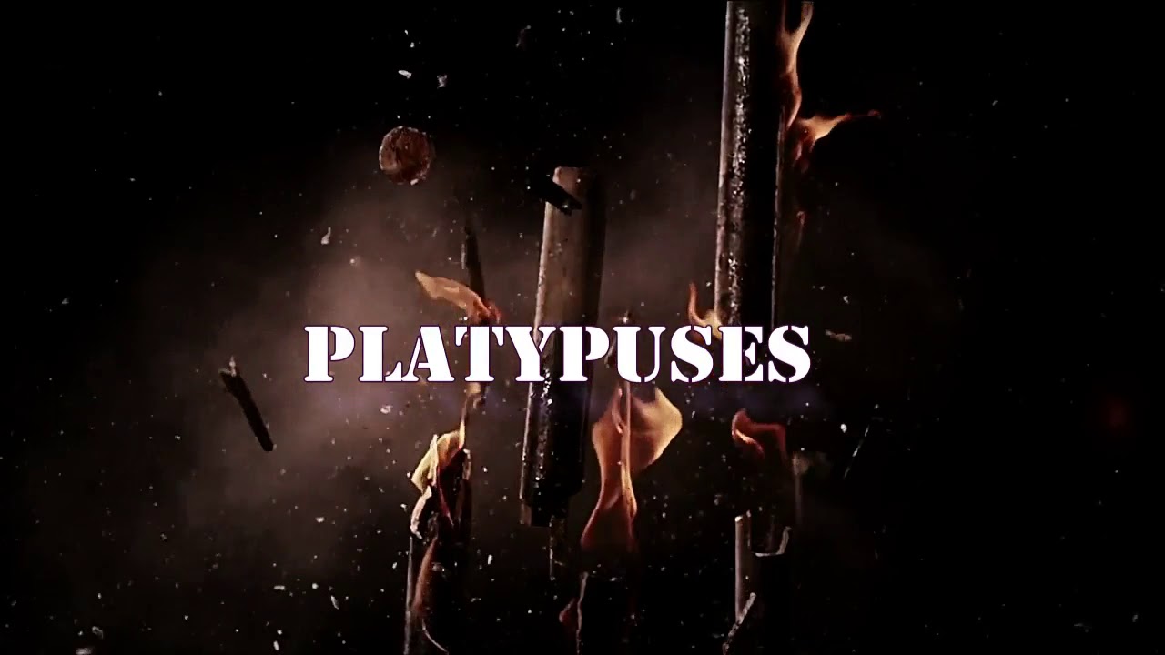 Rhodes University Internal Premier League cricket (RIPL) Promo - YouTube