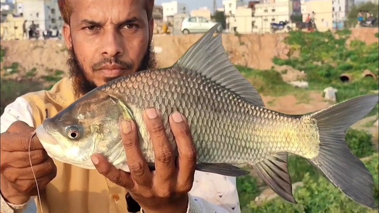 Triple Hook Fishing#Catla Rahu Fishing#Singh Shikaar - YouTube