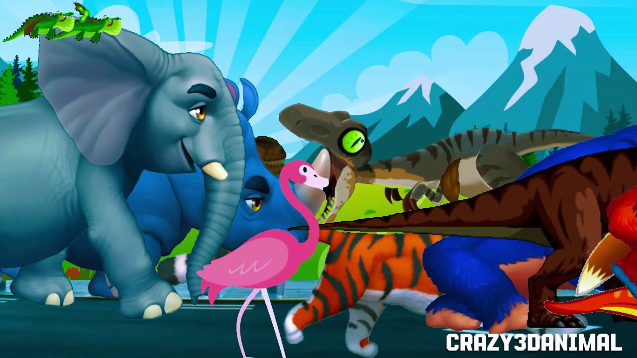 The Most INSANE Animal Stampedes - YouTube