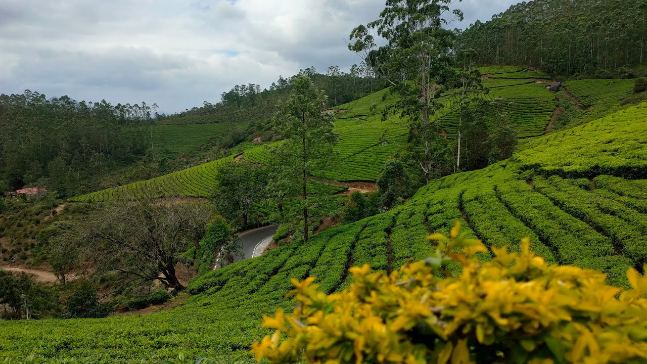 Beauty of munnar - YouTube