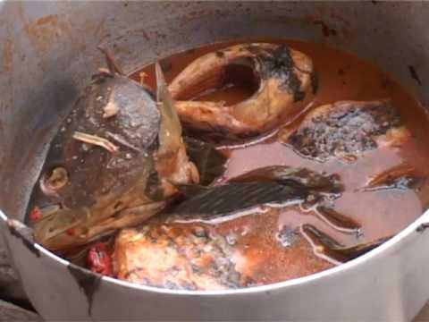 Le KANGA, ce poisson mythique qui fait la notoriété du Nyong (VA) - YouTube