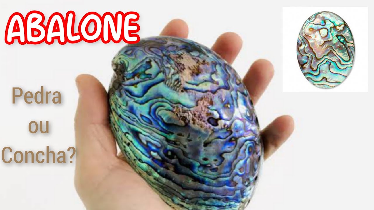 ABALONE É UMA PEDRA PRECIOSA?! ENTENDA TUDO AQUI - YouTube