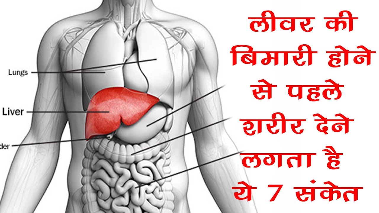 लीवर की बीमारी होने से पहले शरीर देने लगता है ये 7 संकेत - YouTube