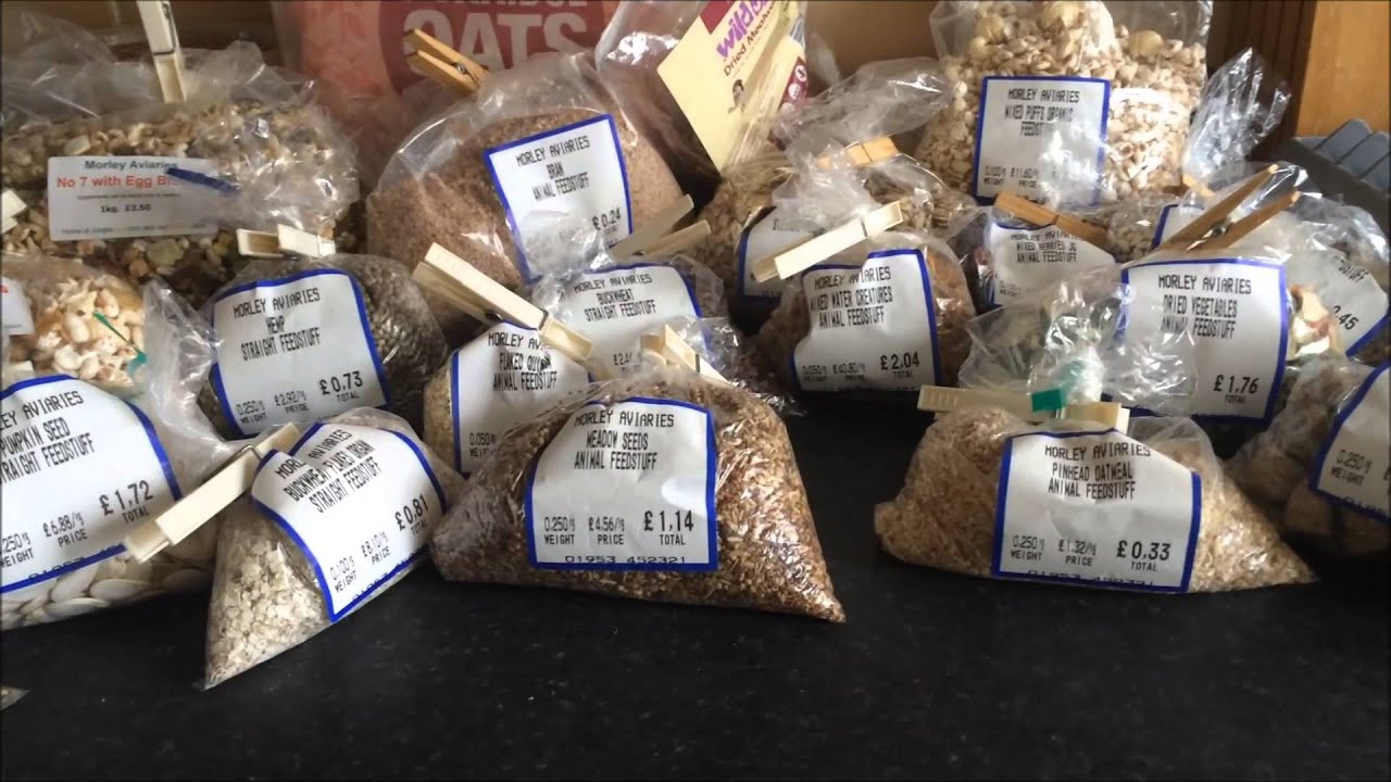 mixing my own mouse food - YouTube