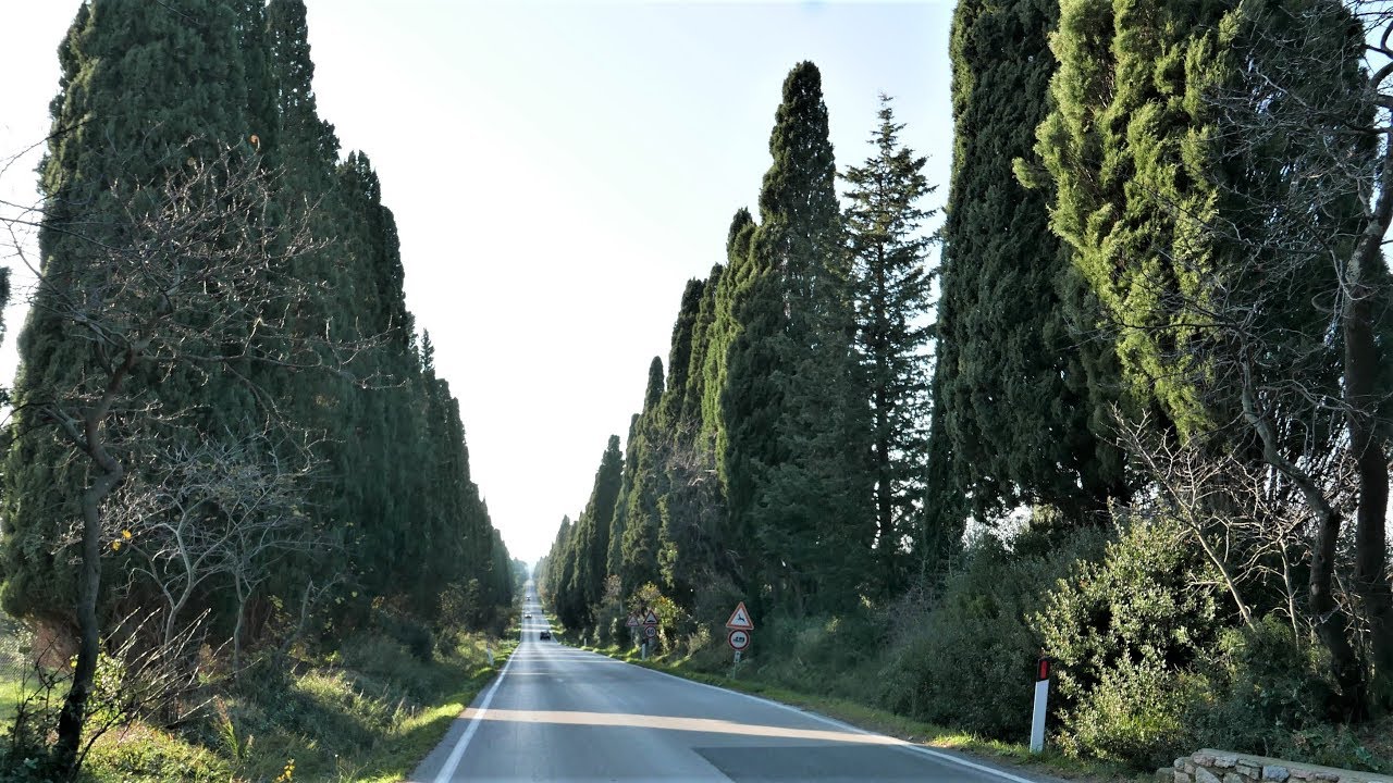 Bolgheri, il viale dei cipressi più bello del mondo - Toscana - YouTube