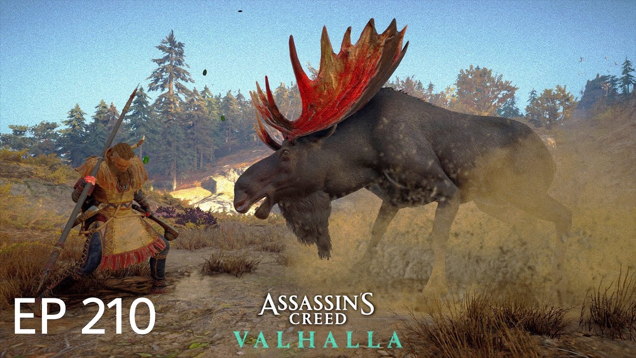 Assassin's Creed : Valhalla - Legendary Animal - "O YAN DO' NE ...
